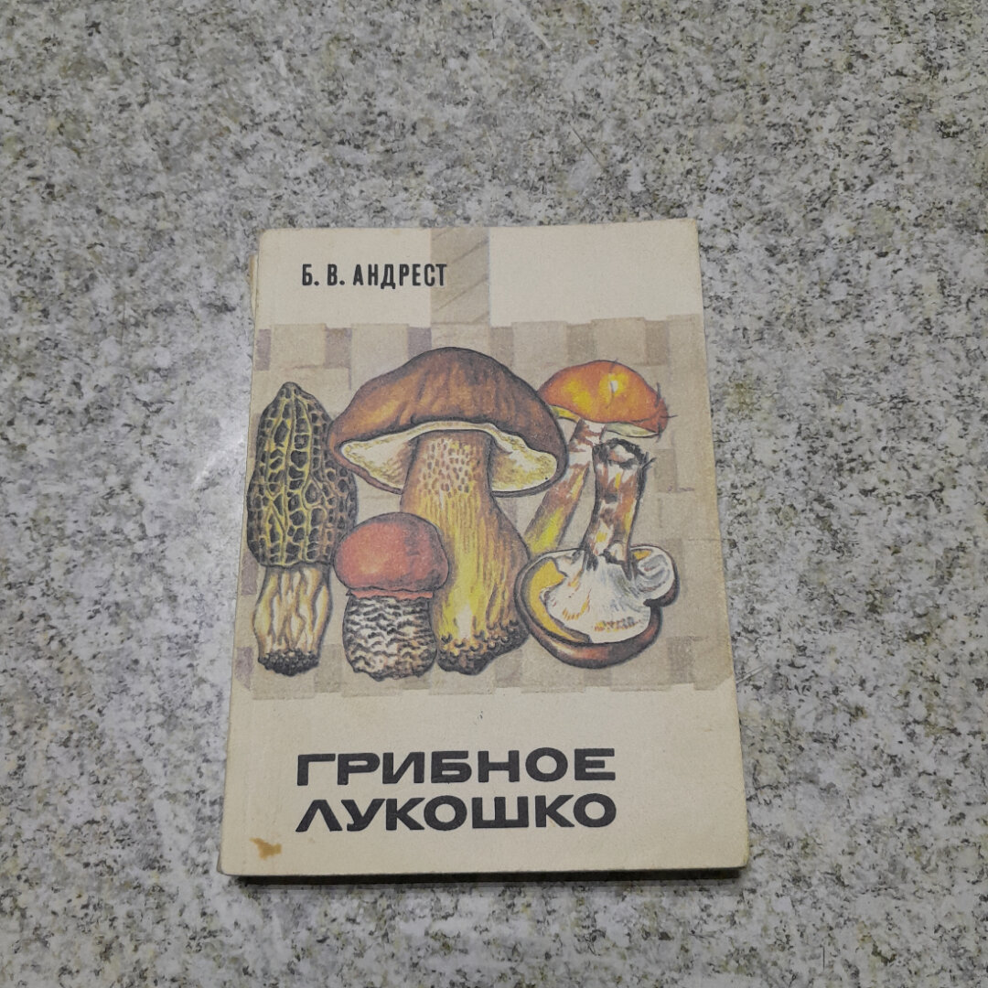 Грибное лукошко изд. 3-е Б. В. Андрест "Лесная промышленность" 1984г.