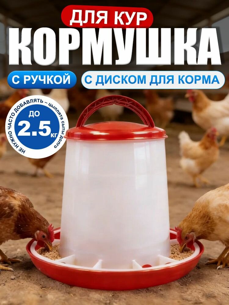 Кормушка для кур весом 2.5 кг для кур с перегородками для предотвращения выхватывания пищи с перегородками 2.5 кг предотвращение выхватывания