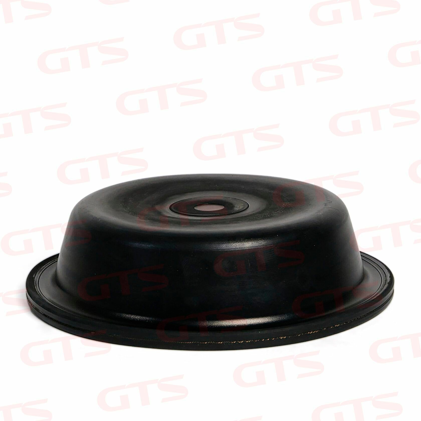 GTS Диафрагма 24 G150103002