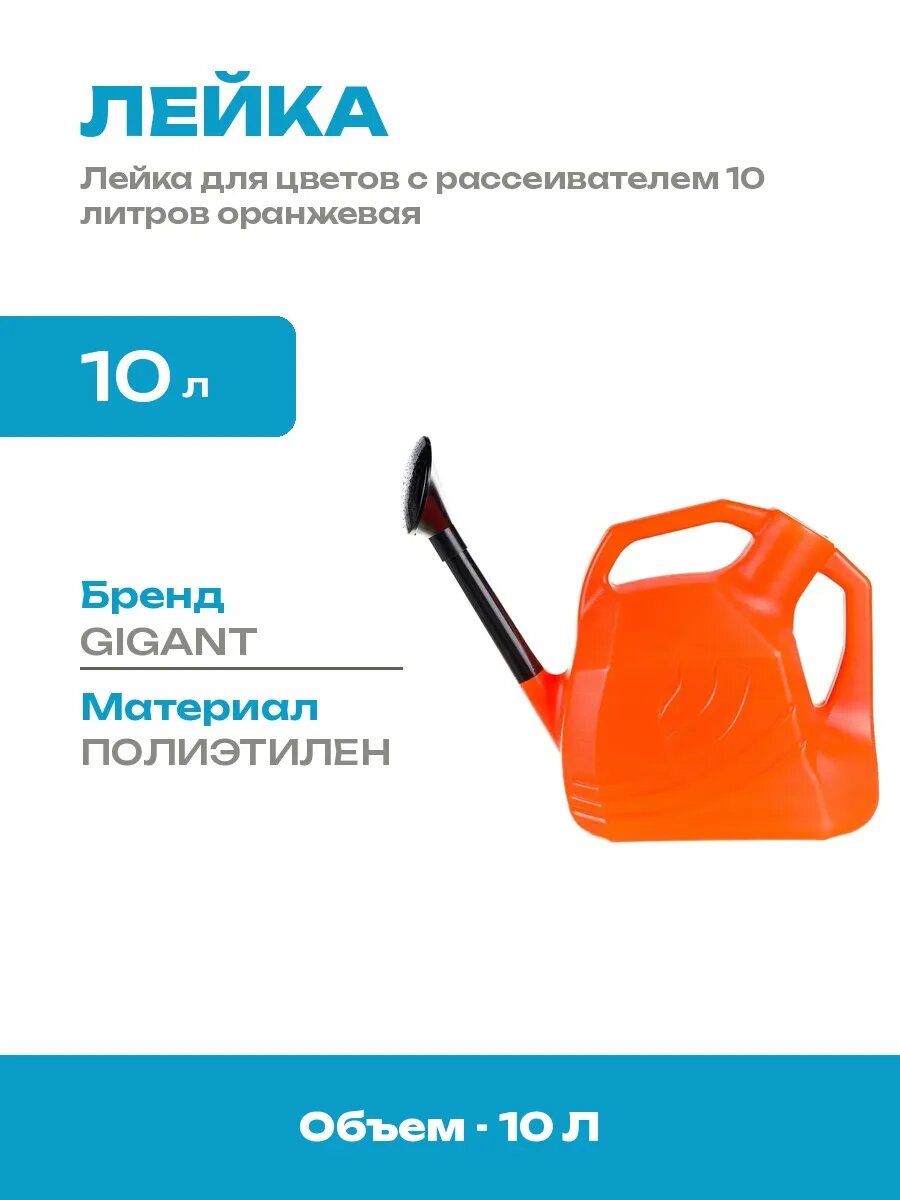 Лейка для сада пластиковая 10 л с насадкой рассеиватель