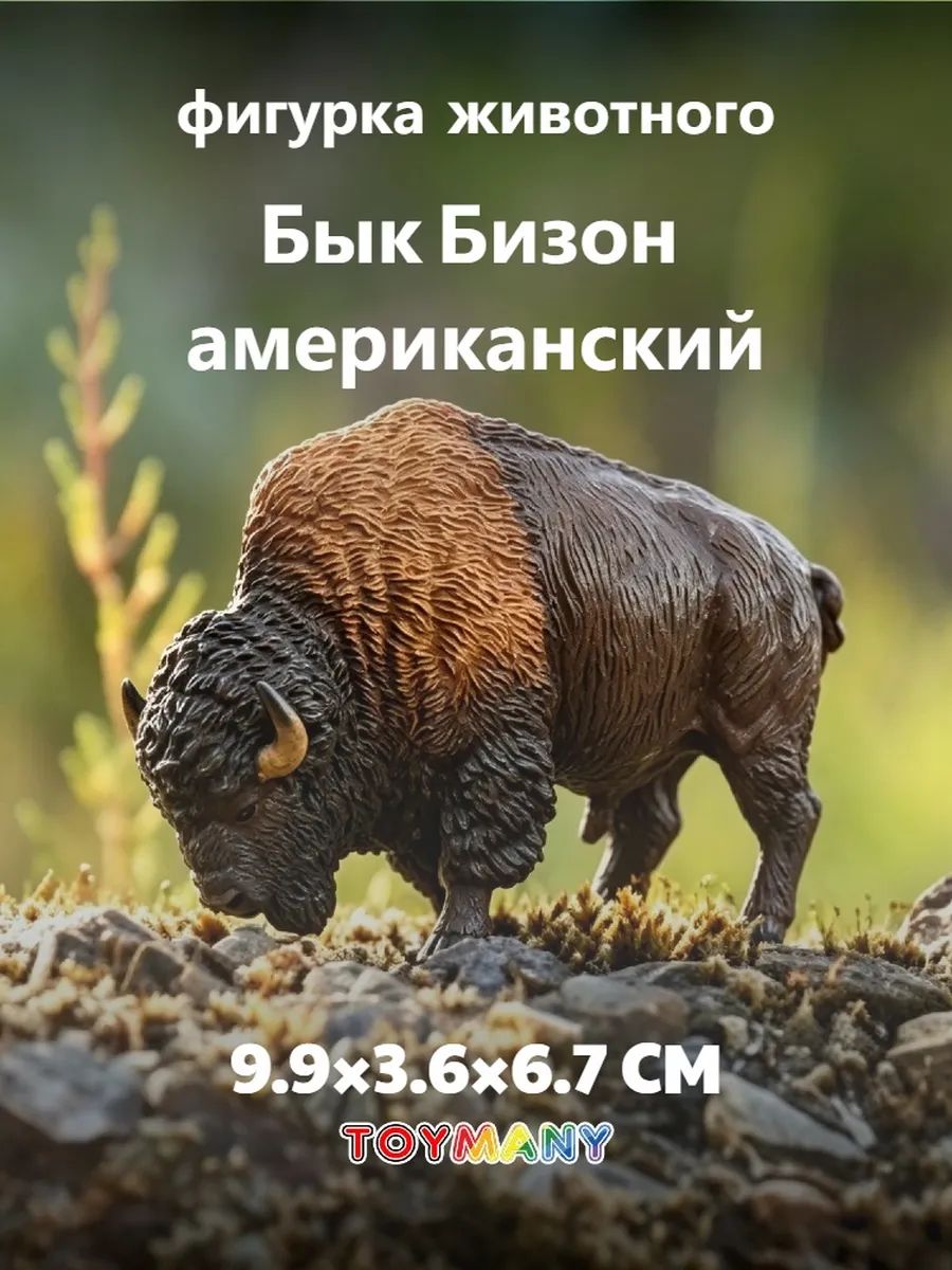 Toymany Фигурка животного, Коллекционная фигурка американского бизона, Подарок для детей