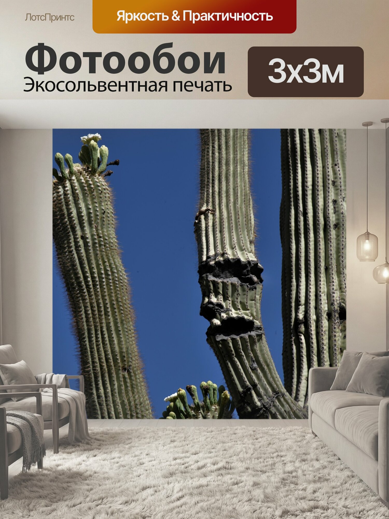 Фотообои "Saguaro Face Сагуаро кактус в пустыне Аризоны сагуаро кактус лицо юмористический вырез естественный настоящий пустыня растение старое" 300x300 см. экосольвентная печать