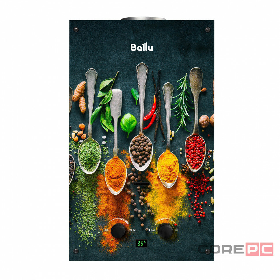 Колонка газовая Ballu GWH 10 Fiery Glass Curry, черный, 19х33х55 см