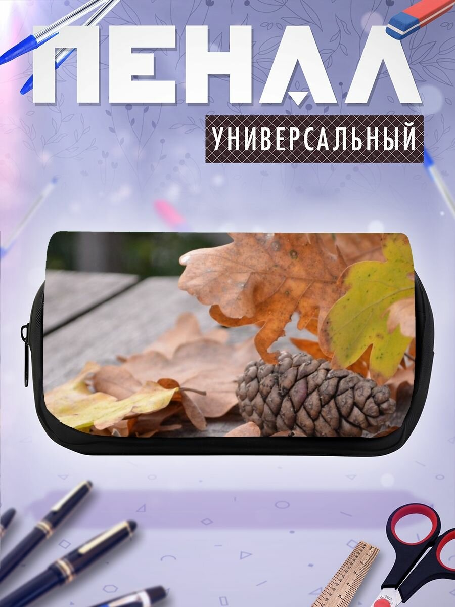 Школьный пенал сосна хвойные конуса