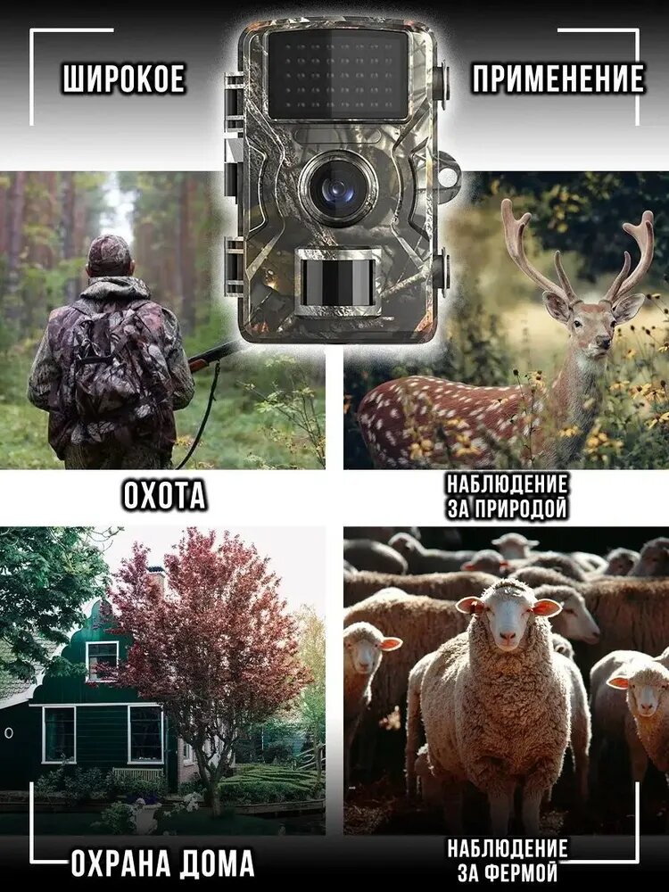 Фотоловушка — фото 1