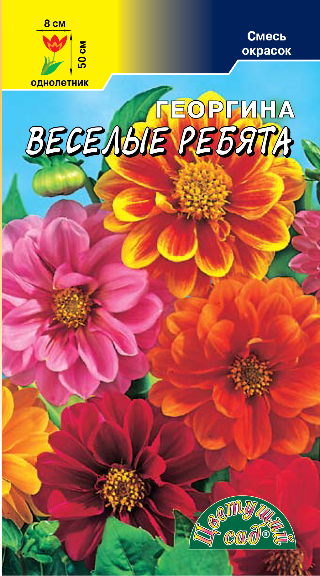 Георгина Весёлые ребята (смесь окрасок)