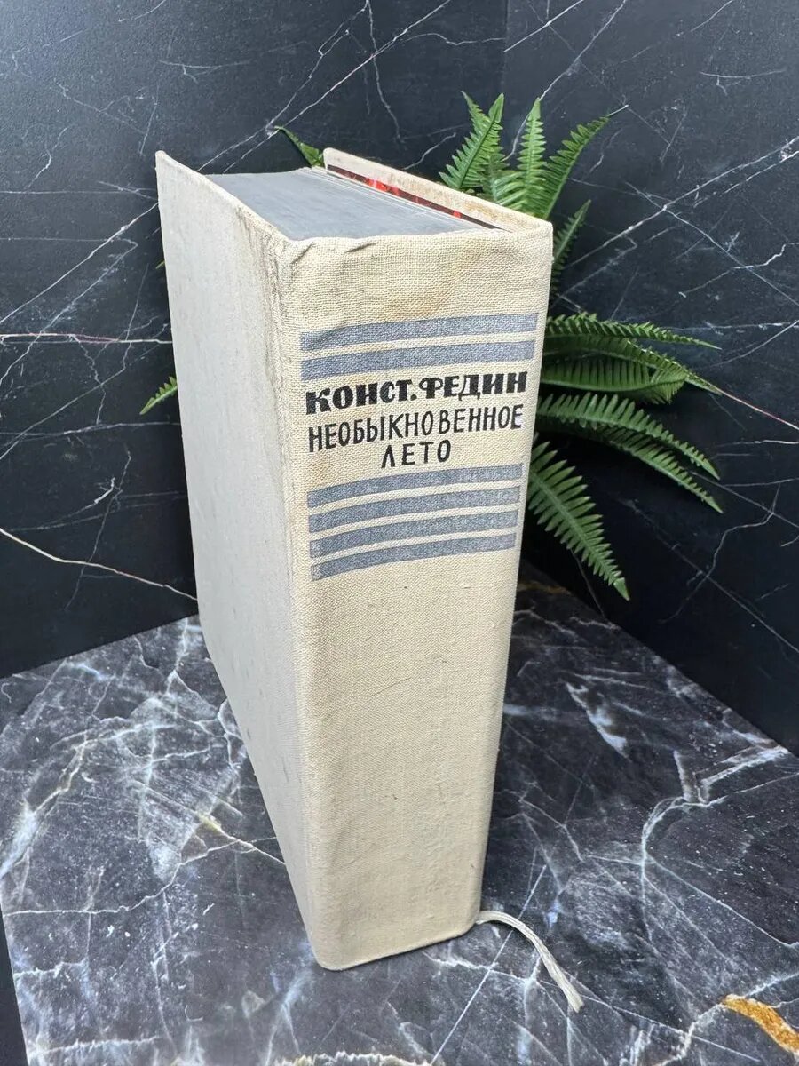 Необыкновенное лето — фото 1