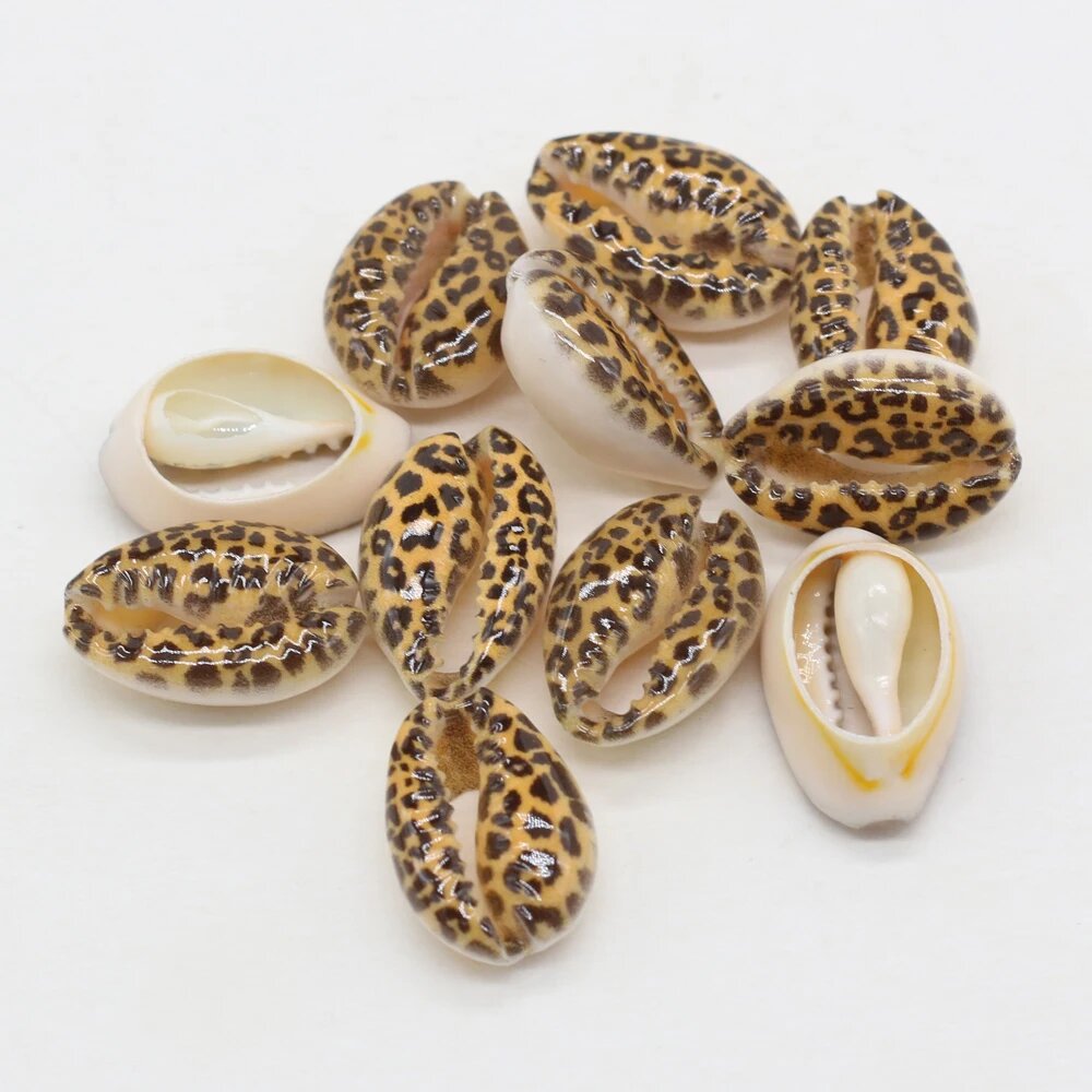 Ракушки-подвески для рукоделия, 4x18-16x20mm