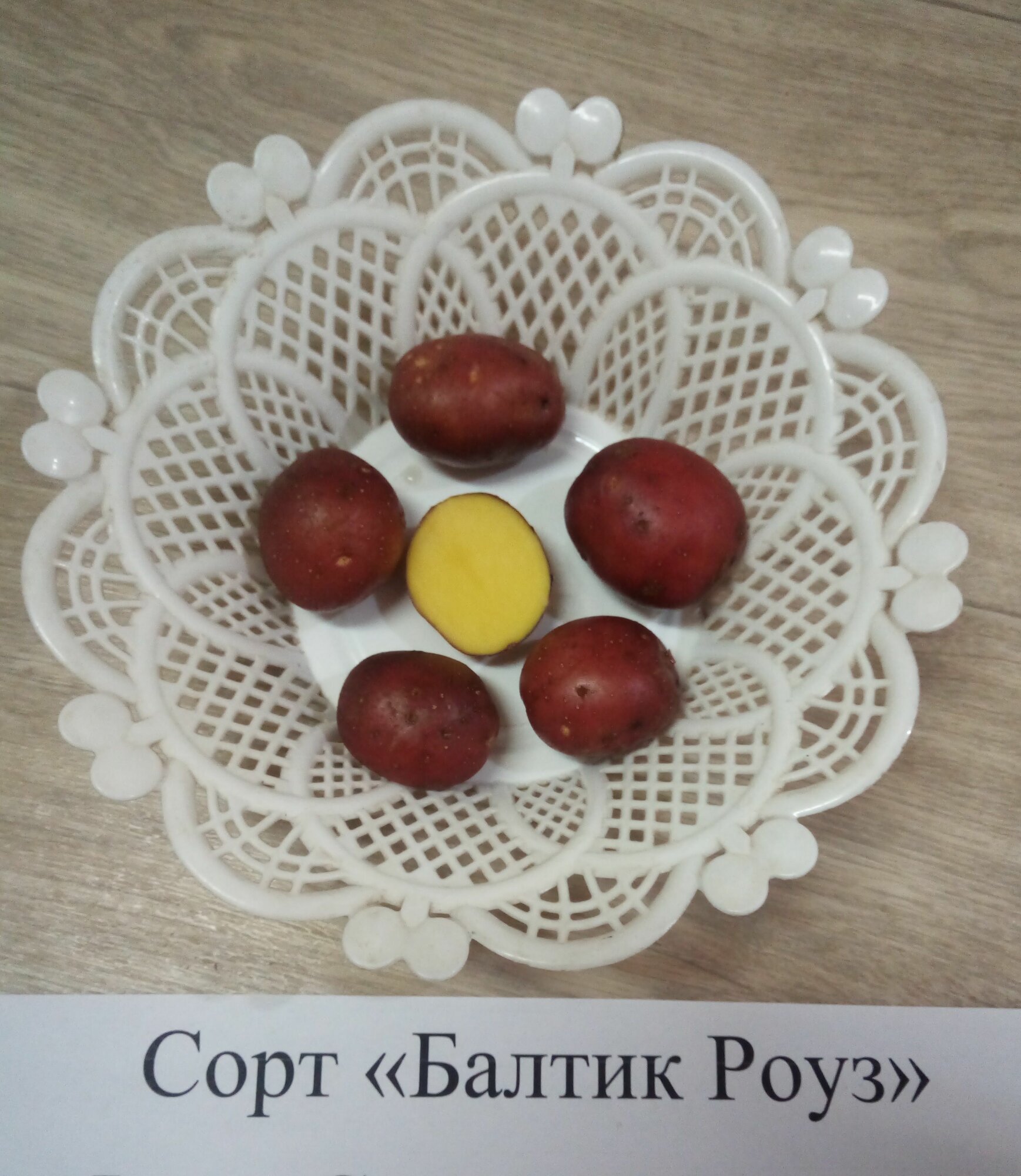 Балтик Роуз - 2 кг.