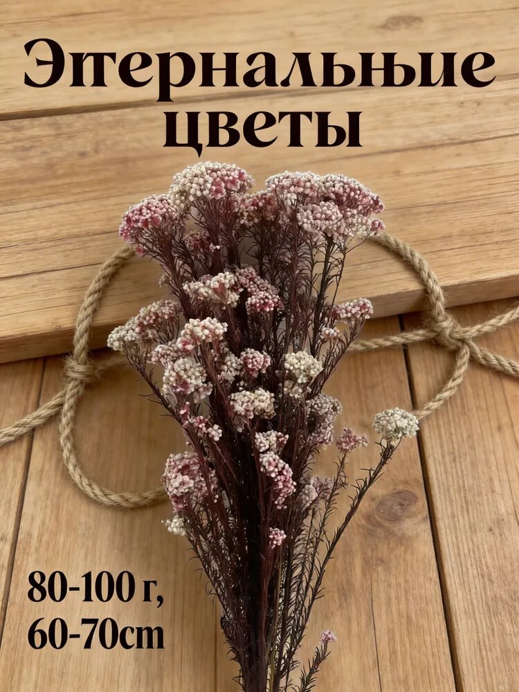 Сухоцветы 60 см 1 шт белый для интерьера для декора для дома для офиса для букета