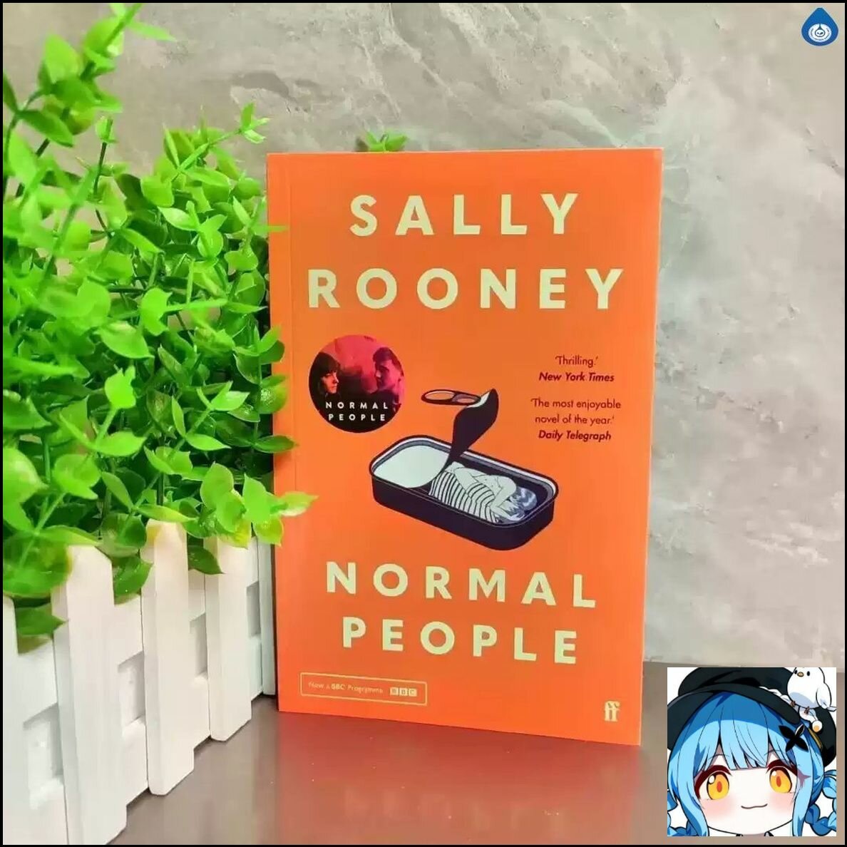 Печатная книга Sally Rooney