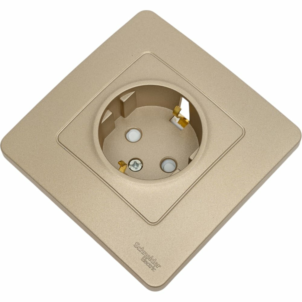 Розетка Systeme Electric Blanca с/у, с заземлением, со шторками, 16а, 250в, титан BLNRS001114