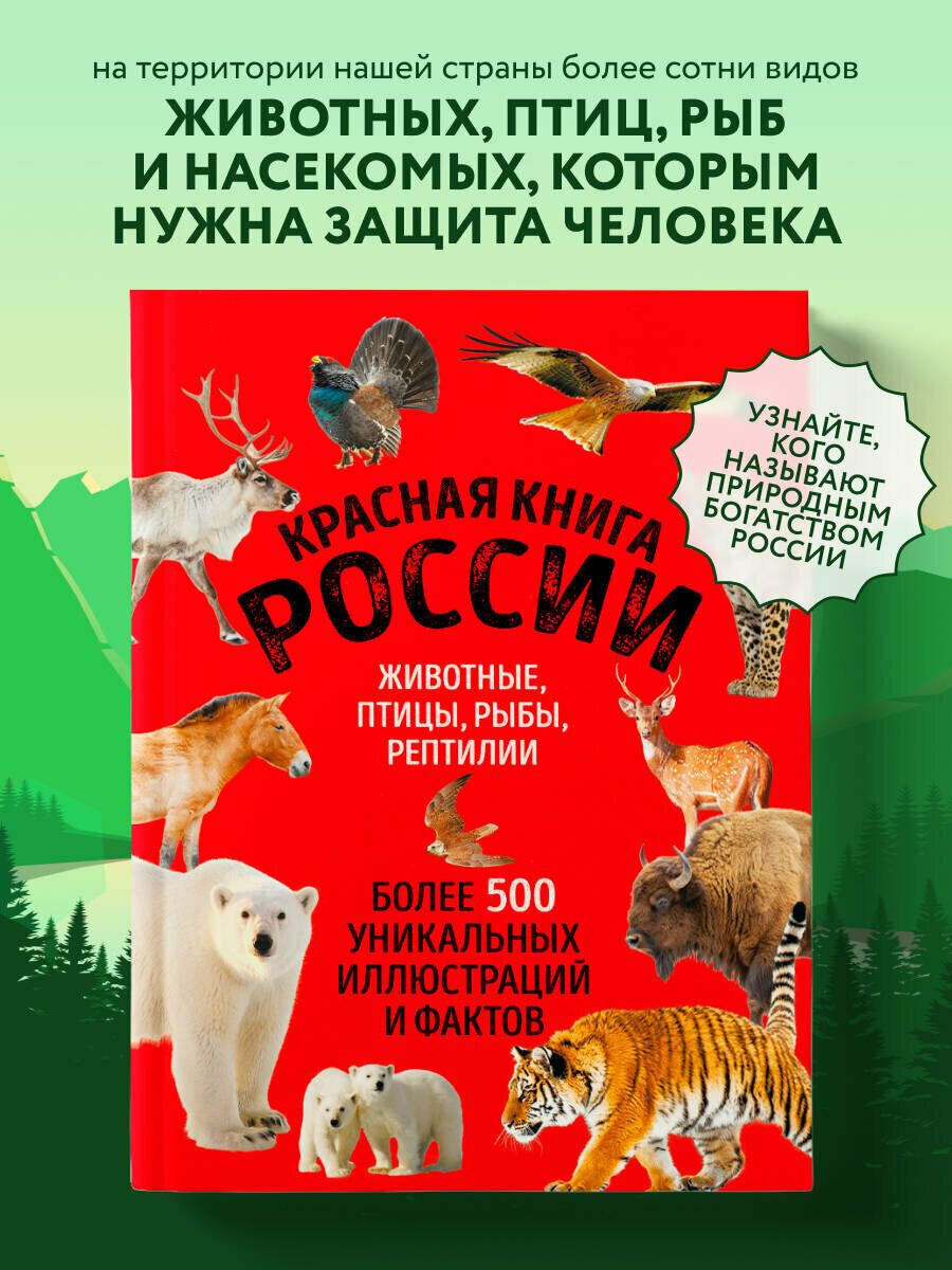 Добрыня Ю. М. Красная книга России. Большой формат. Более 500 уникальных иллюстраций и фактов (новое издание) (основной)