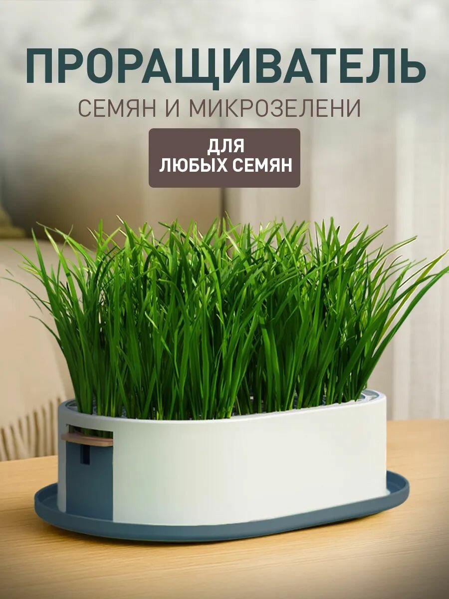Проращиватель семян iulkapu, для семян и микрозелени, пластик, синий, 1 шт