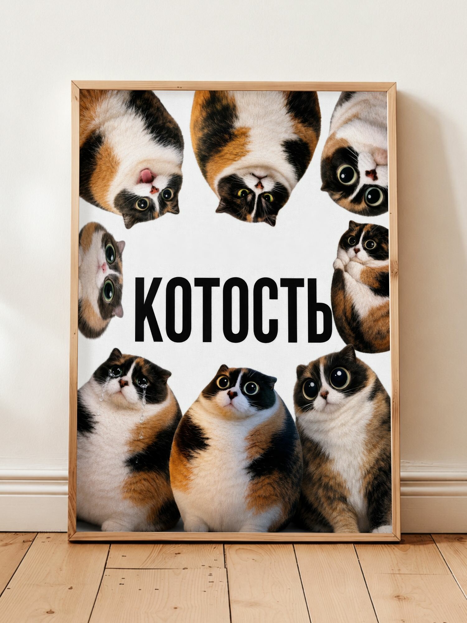 Постер на стену Котость мем — фото 1