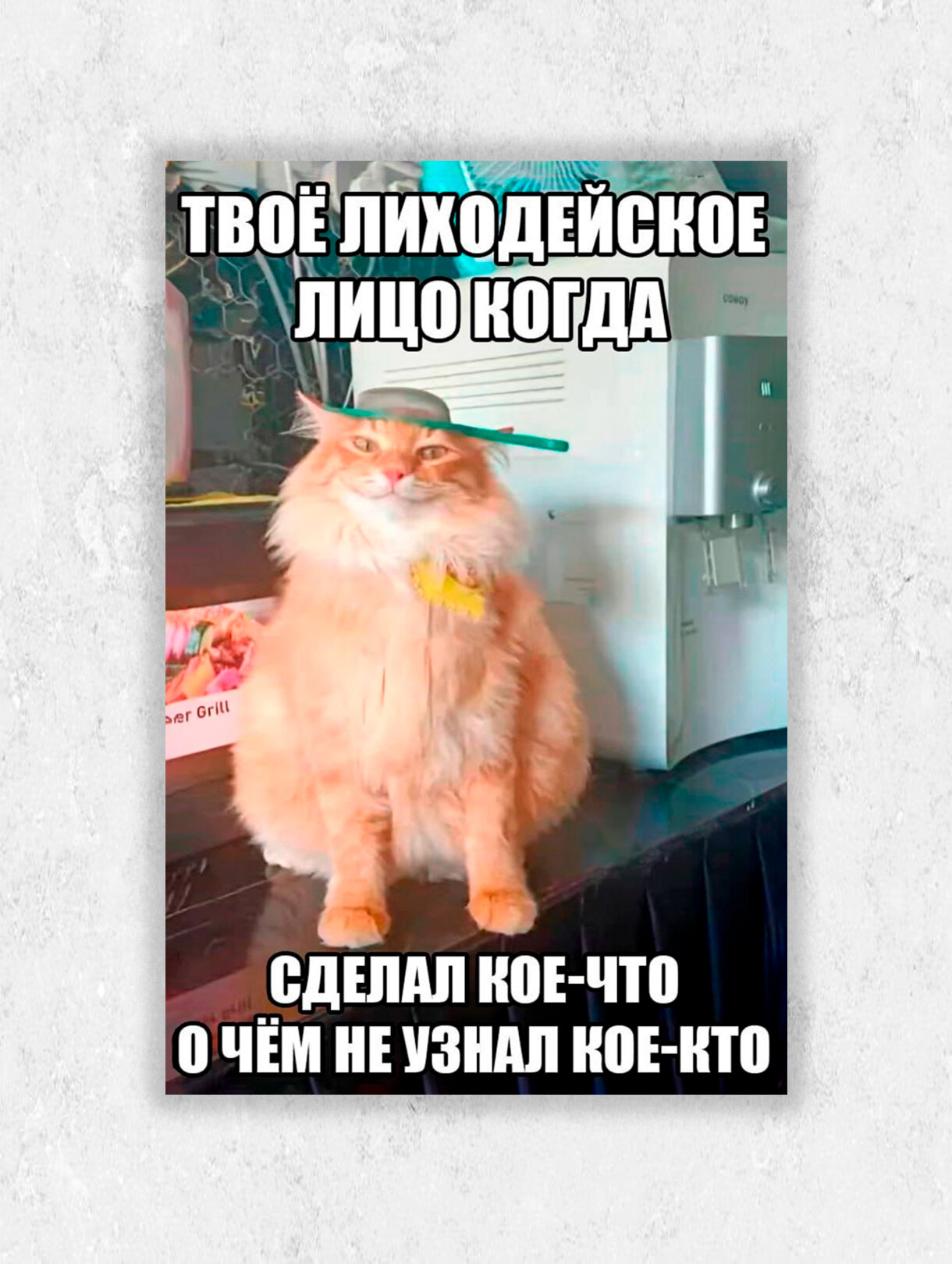 Плакат-мем "Лиходейский кот"