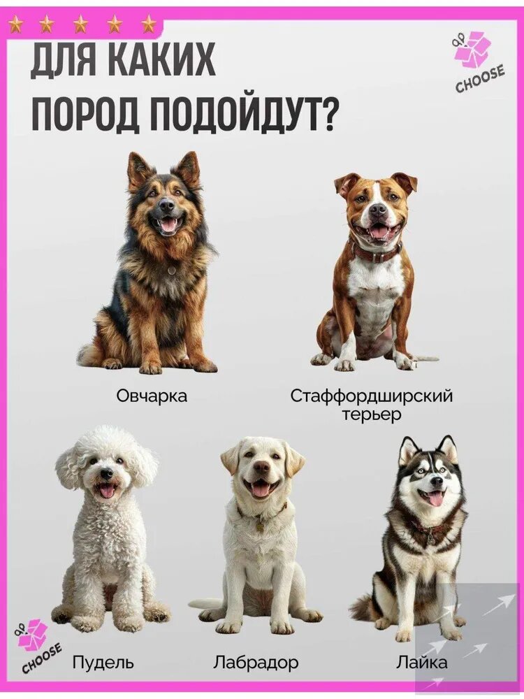 Обувь для собак,-XL — фото 1