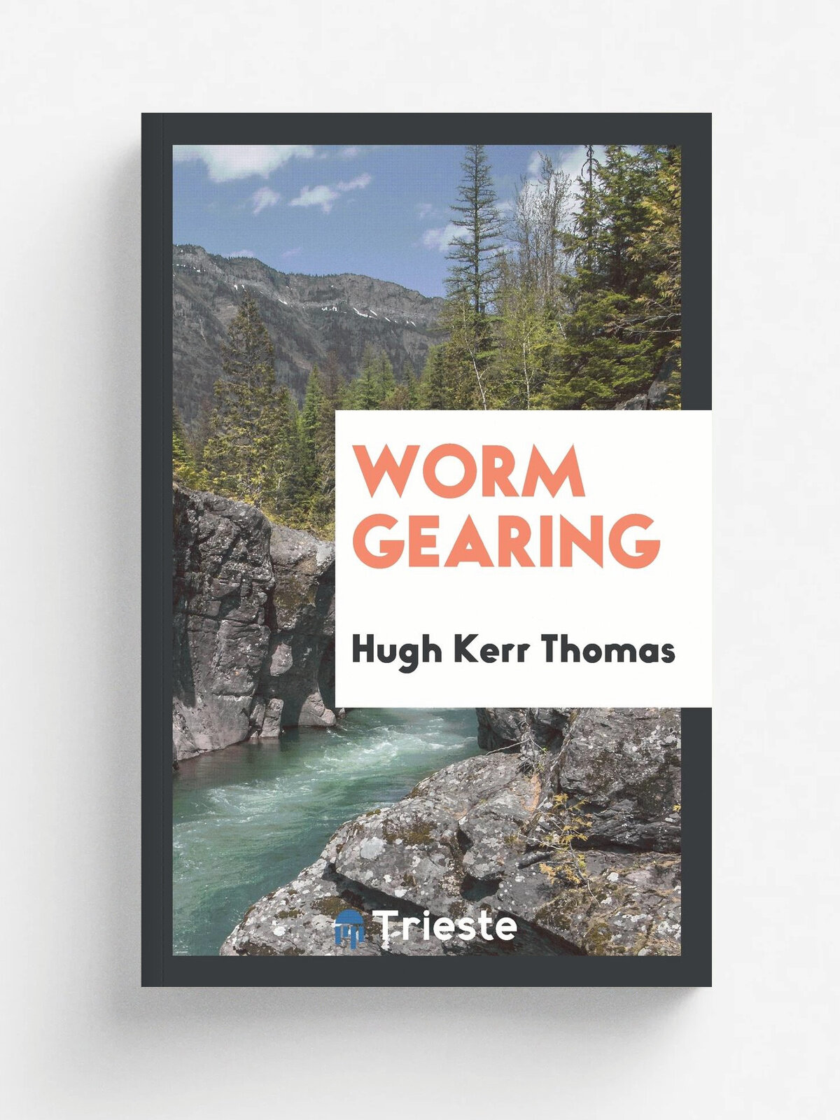 Worm Gearing