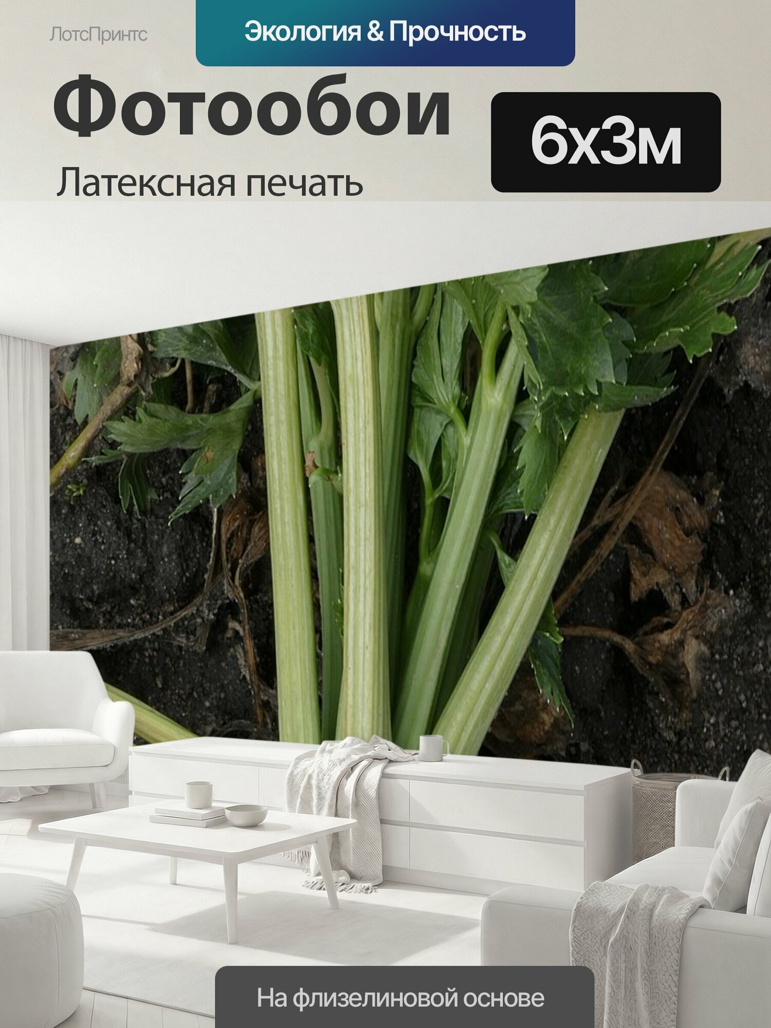 Фотообои моющиеся ударопрочные "Сельдерей, корень, клубня сельдерея" 600x300 см. латексная печать