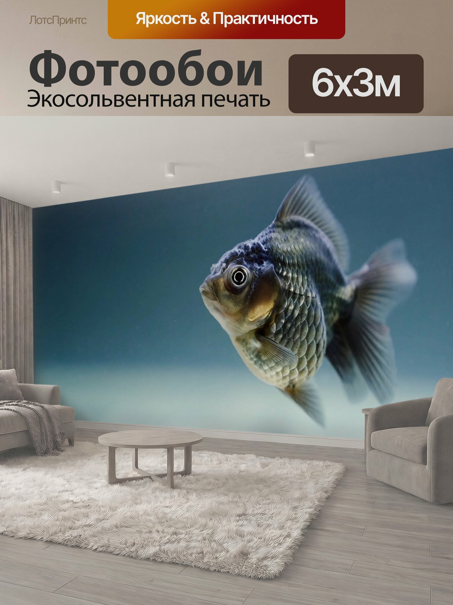 Фотообои "Рыбы, карась, вуаль" 600x300 см. экосольвентная печать