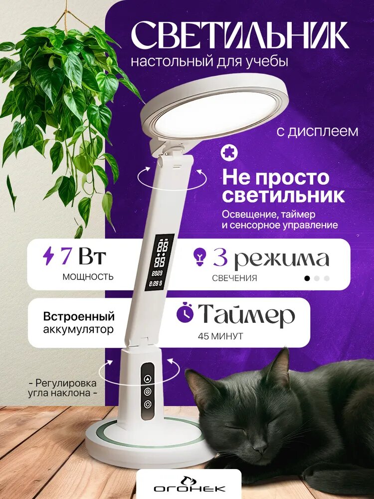 Лампа настольная для школьника с таймером Огонёк OG-LDP41B