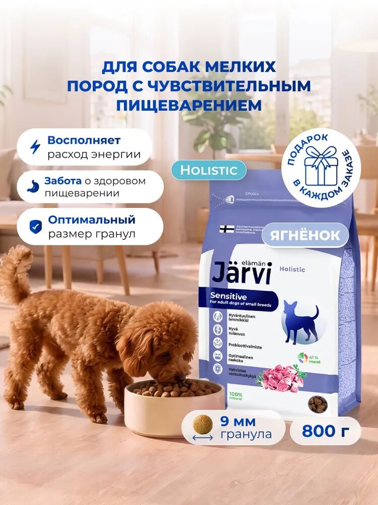 Сухой корм Jarvi полнорационный для взрослых собак мелких пород с чувствительным пищеварением с ягненком, 800 г