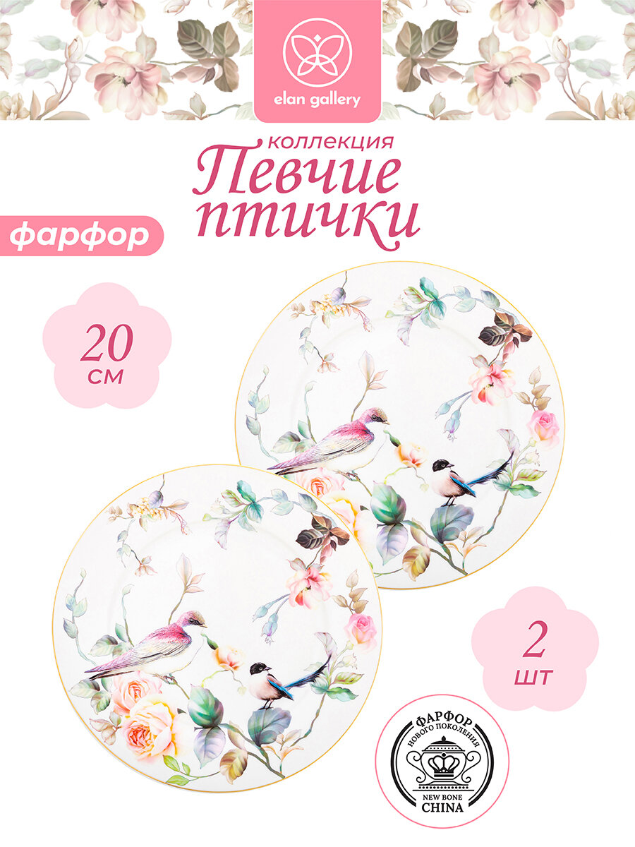 Набор 2 тарелок для закуски 20,5х20,5х1,5 см Elan Gallery Певчие птички
