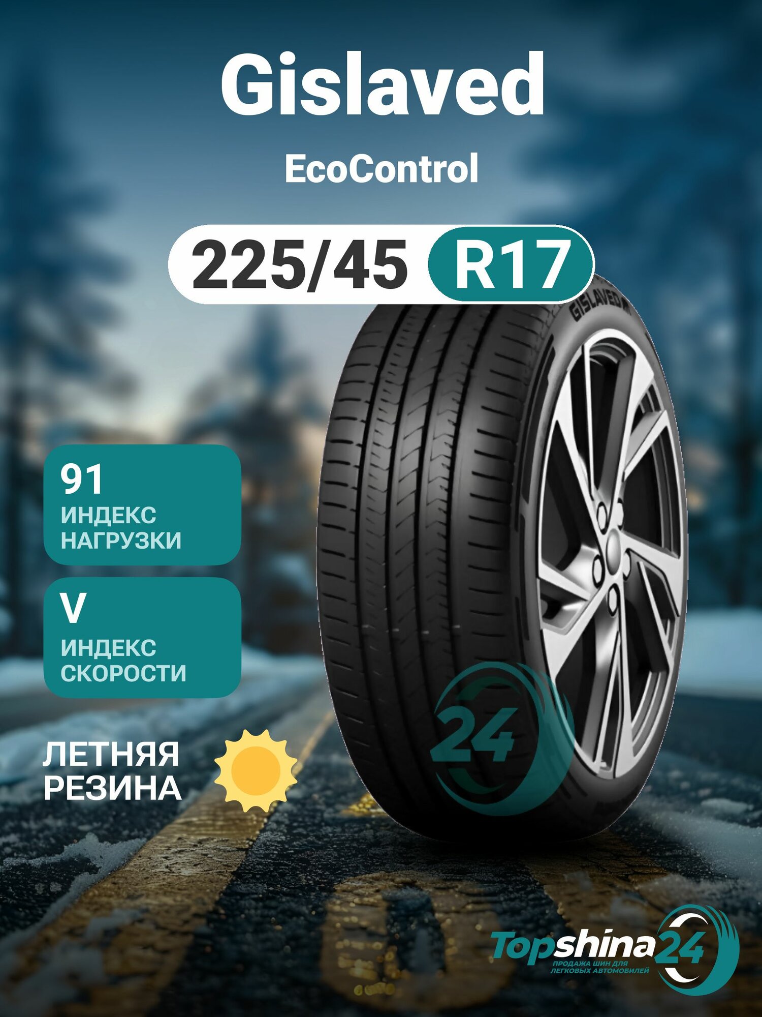 Шины летние Gislaved EcoControl 225/45 R17 V91