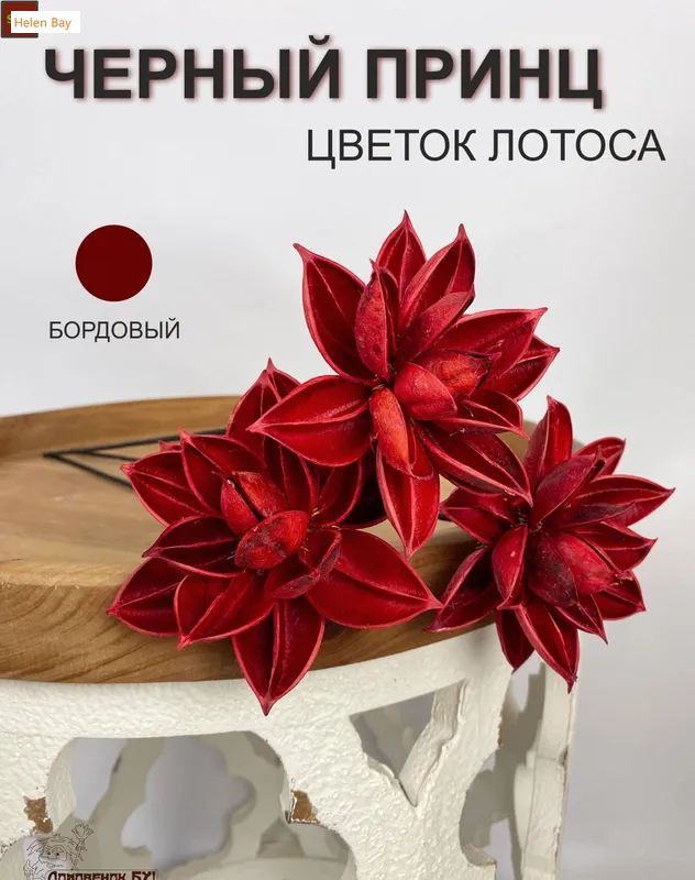 Сухоцветы 52 см 2 шт