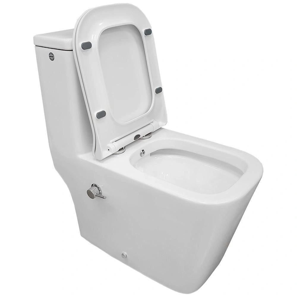 Унитаз Bloomix S-Line 2324SB/UF1 Ceramic+ моноблок безободковый с функцией биде и смесителем