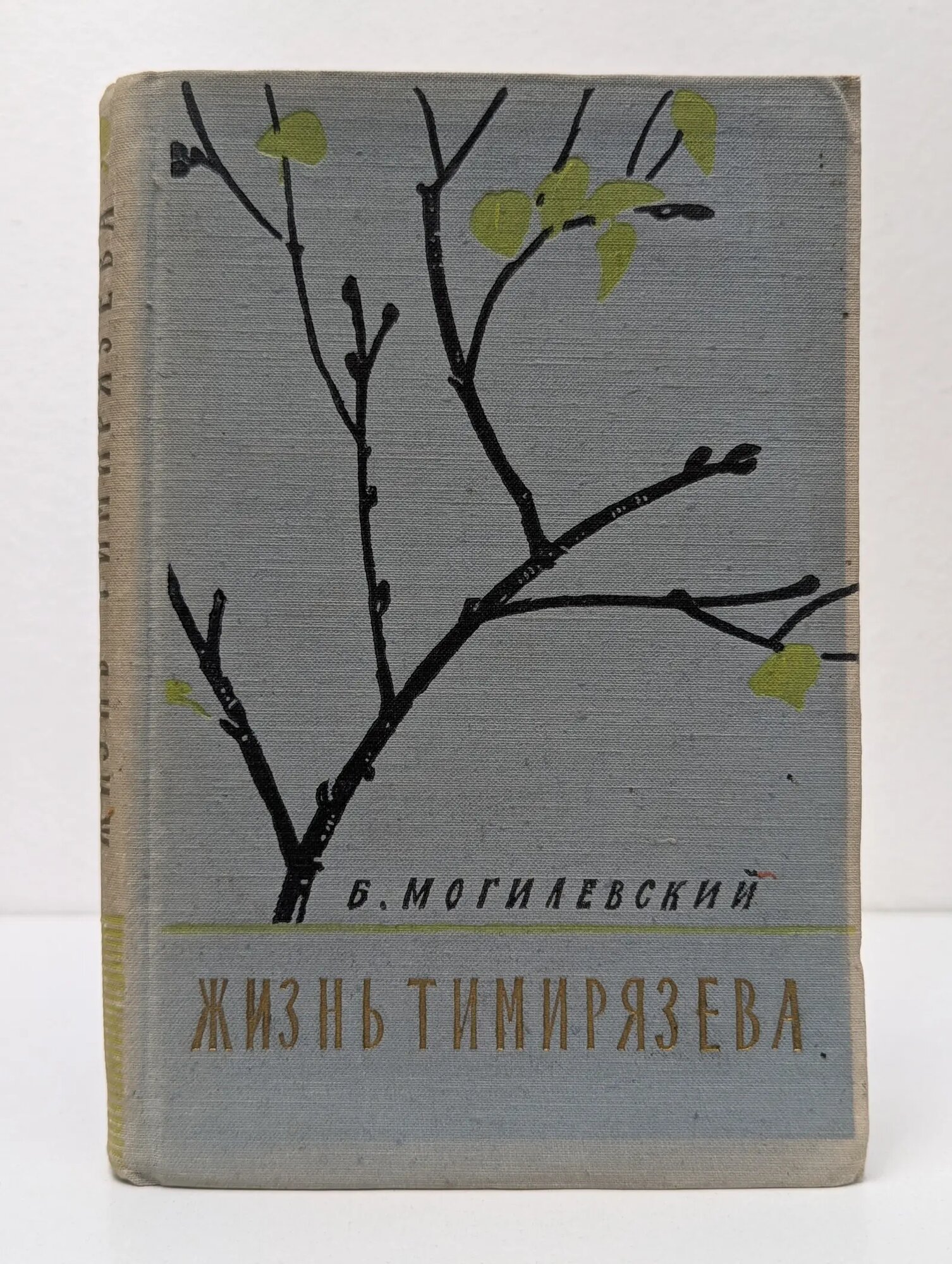 Жизнь Тимирязева Могилевский Борис Львович 1956