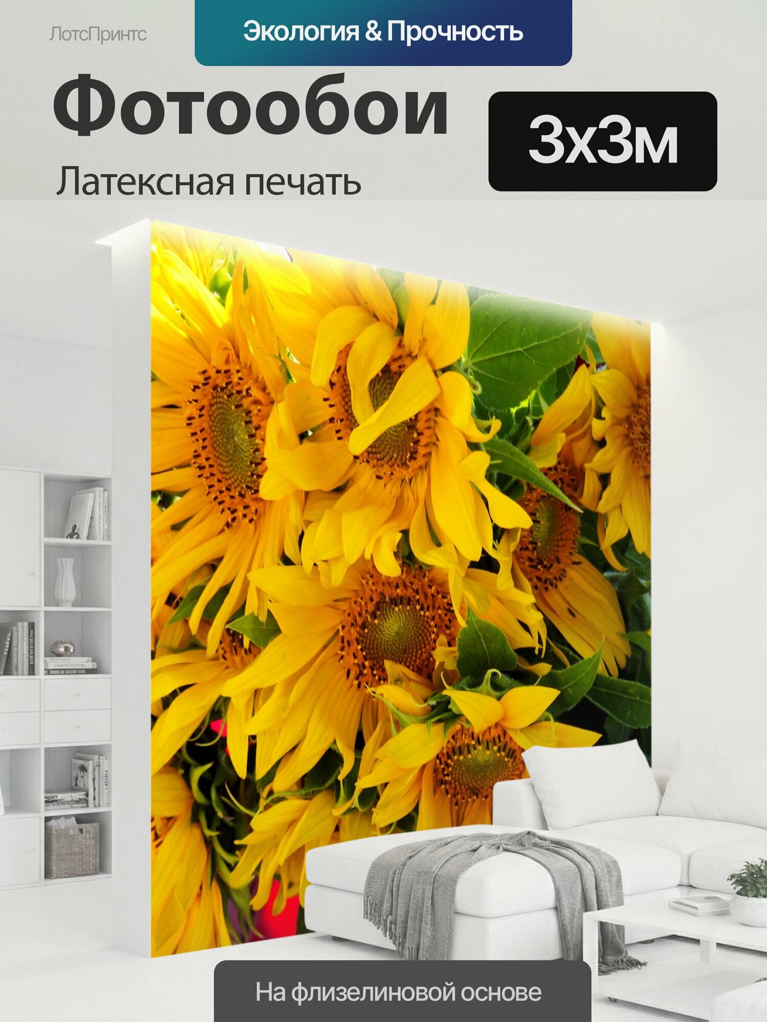 Фотообои моющиеся ударопрочные "Подсолнух, семена подсолнечника, подсолнечное масло" 300x300 см. латексная печать