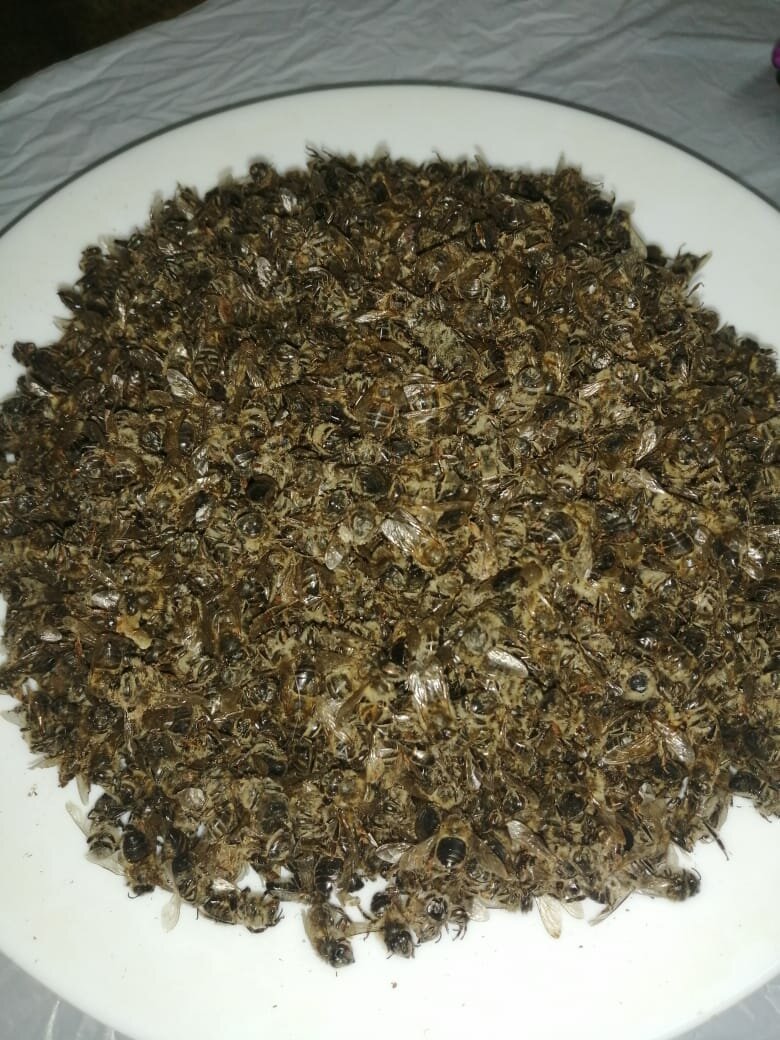 Подмор сухой 150г.