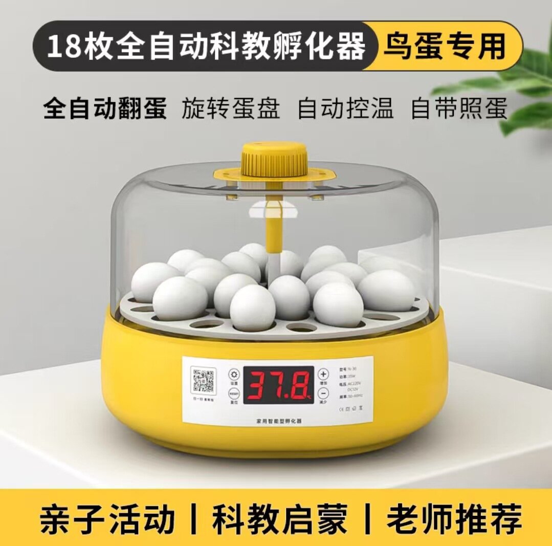 Инкубатор Rutin, маленький инкубатор, интеллектуальный домашний инкубатор, инкубатор с водяным столом для попугаев, полностью автоматический инкубатор