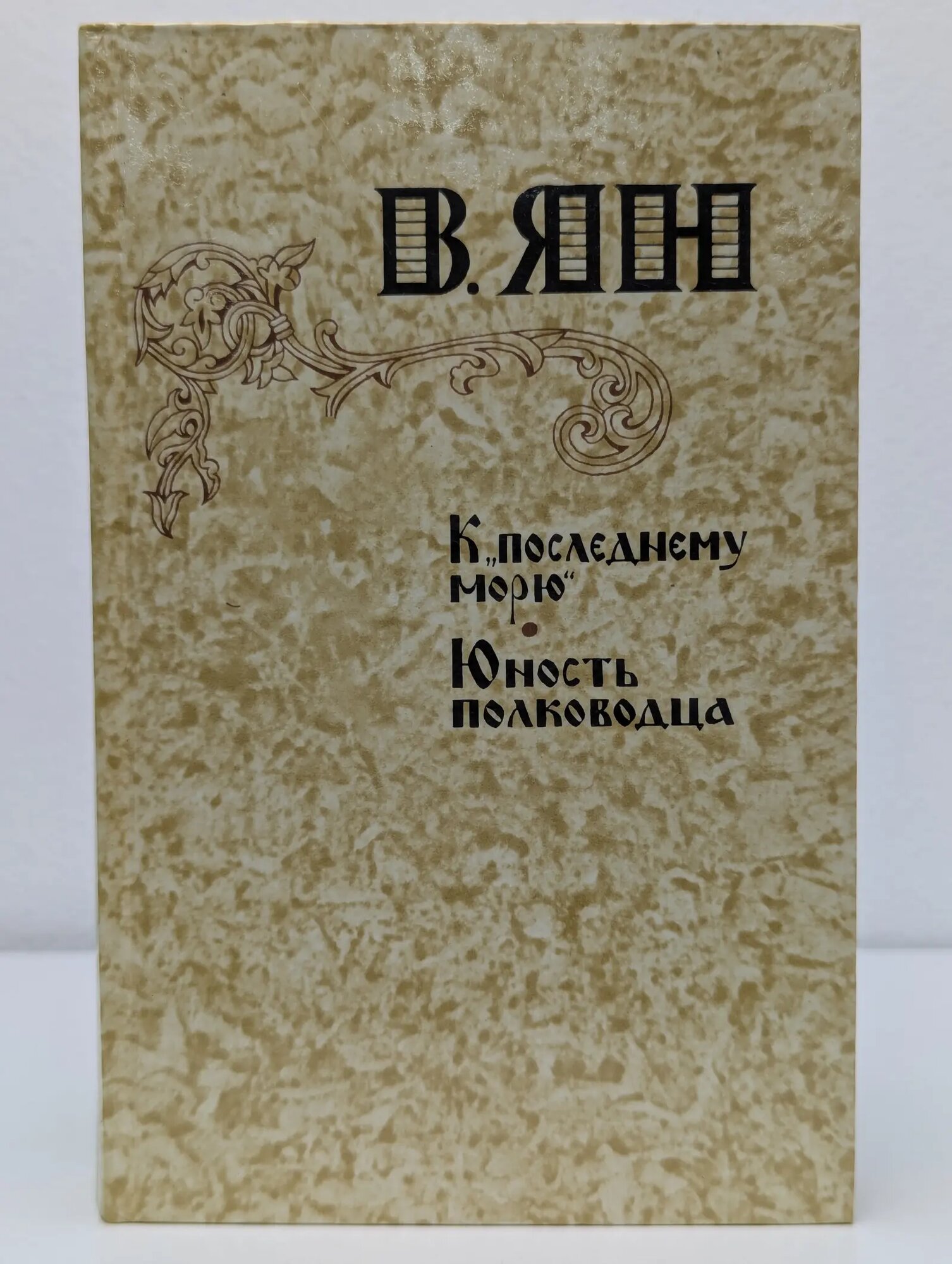 К "последнему морю". Юность полководца Василий Ян Григорьевич 1981