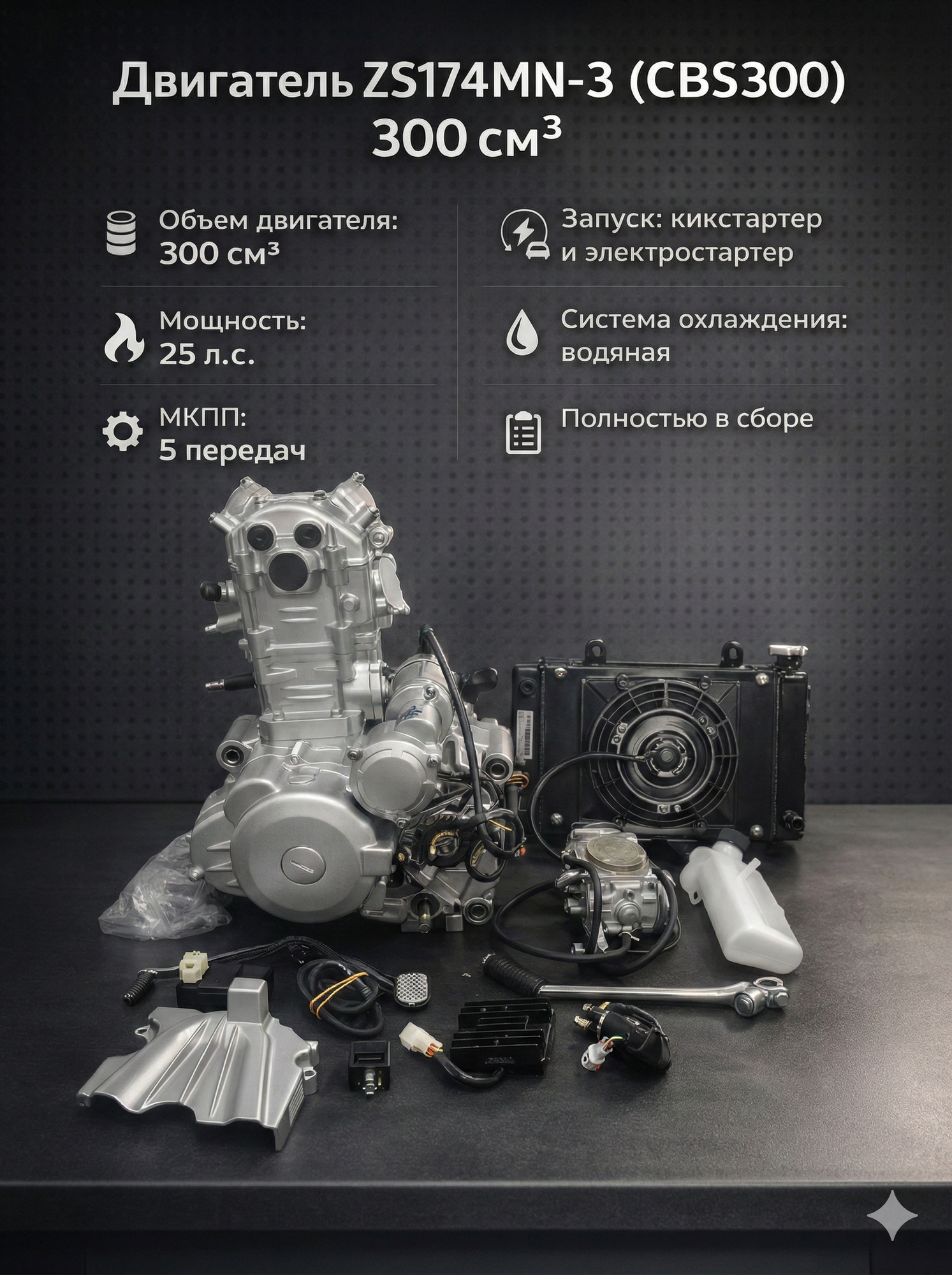 Двигатель ZS174MN-3 (CBS300) 300 см3 для эндуро, кроссового мотоцикла в сборе