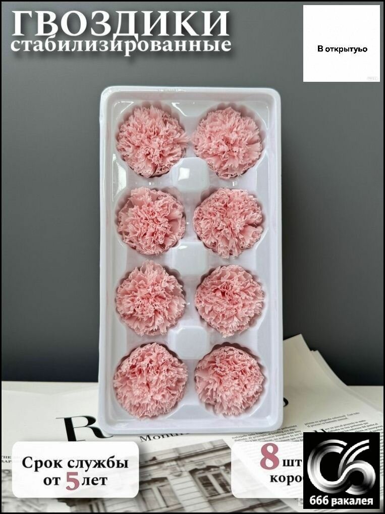 Эксклюзивный набор стабилизированных гвоздик