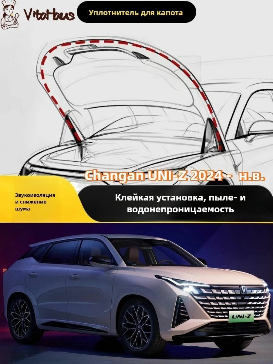 Changan Защита внешних частей автомобиля на кузов