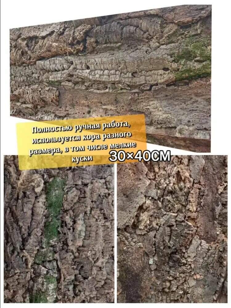 Кора пробкового дерева, фон для террариума, декор для рептилий, для змей, ящериц и пауков, натуральный