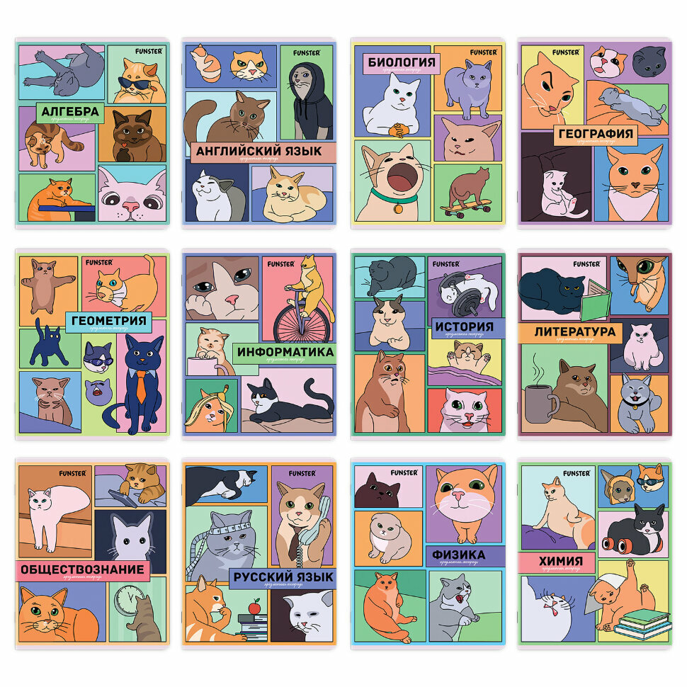 Тетради предметные, комплект 12 предметов, 48 л, TWIN-лак, FUNSTER (фанстер), мемные коты, 405604, 405604