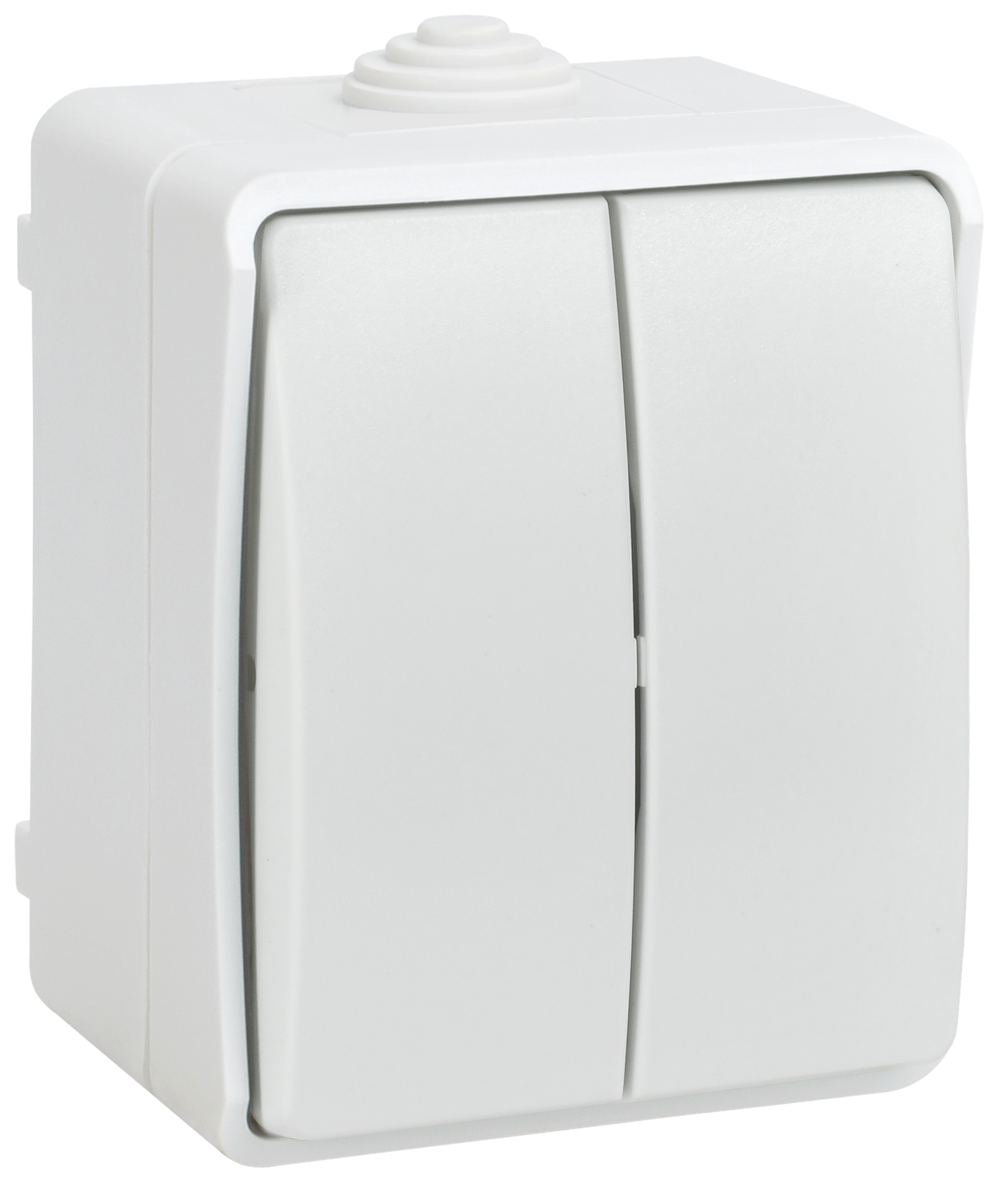 FORS Выключатель 2-клавишный для открытой установки 10А IP54 ВС20-2-0-ФБ белый форс IEK EVS20-K01-10-54-DC