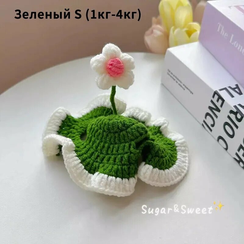 Вязаные шапочки для кошек и собак