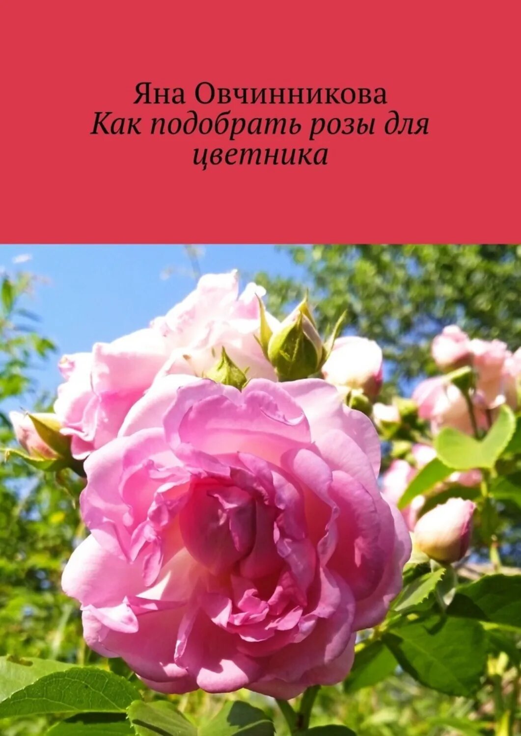 Как подобрать розы для цветника [Цифровая книга]