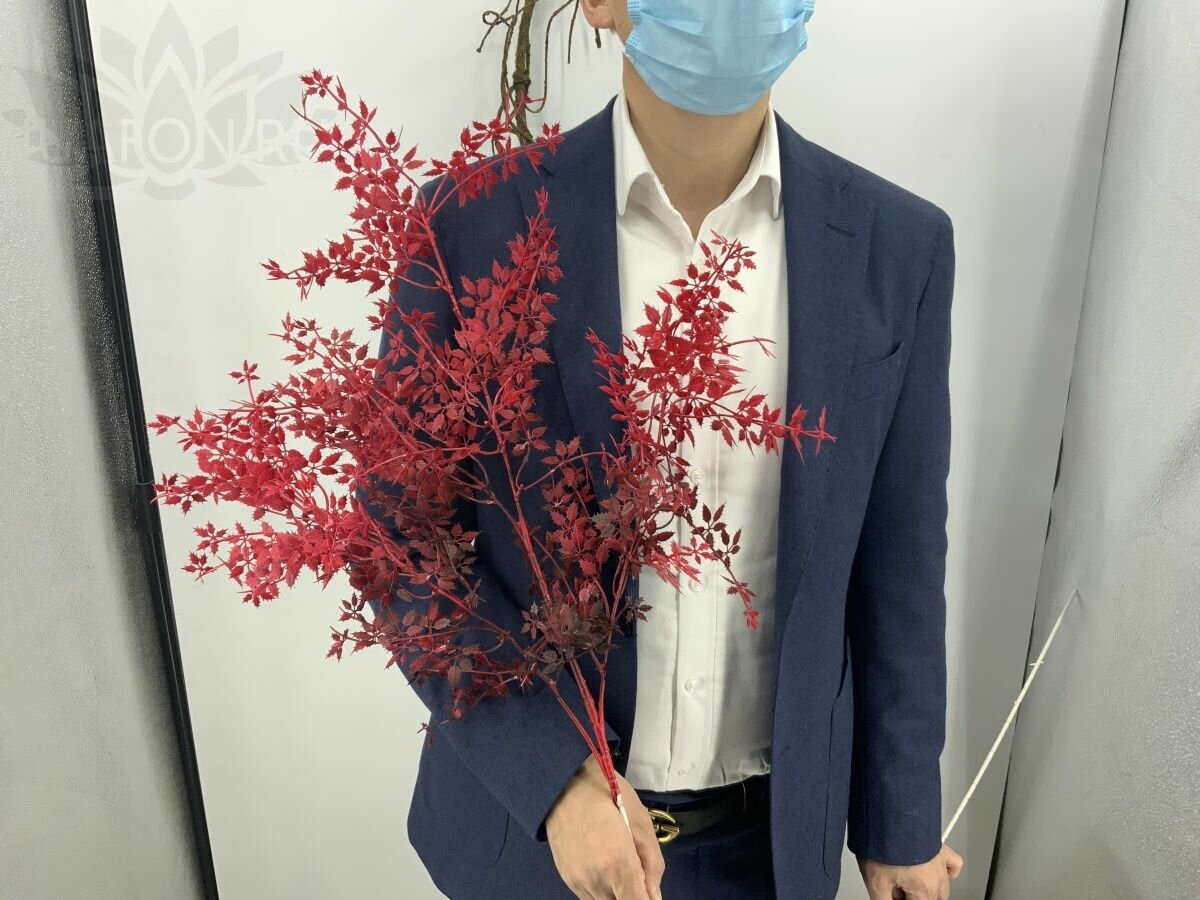 Искусственные цветы для декора и фотозон ветка красная пышная 85 см премиум