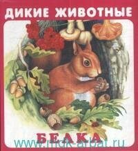 Книга "Дикие животные : карточки"