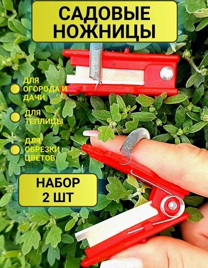 Кустодер , Металл