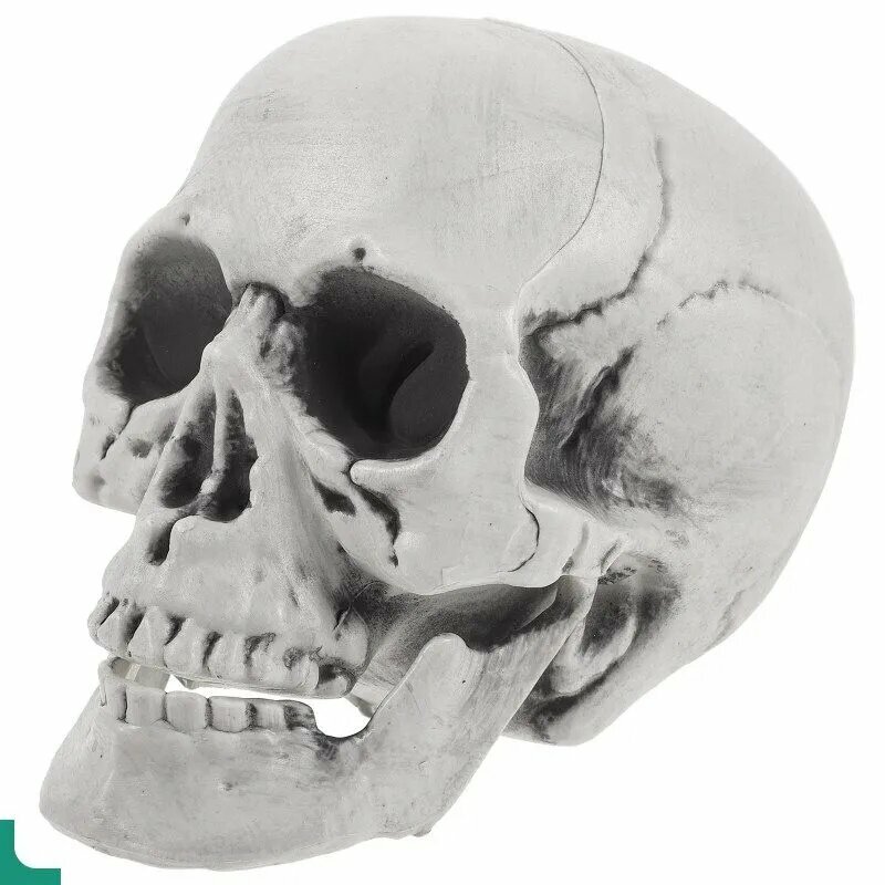 Статуэтка Череп Из Пластика Для Декора И Коллекционирования Белый