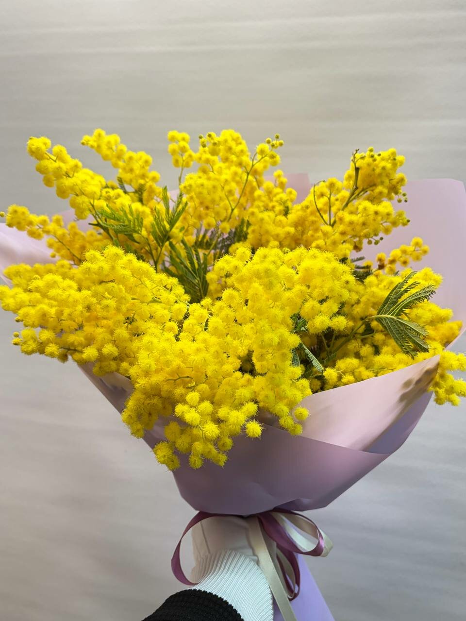 Букет из Мимозы / Decoriflora / Цвет желтый / высота 45 см / 3 ветки