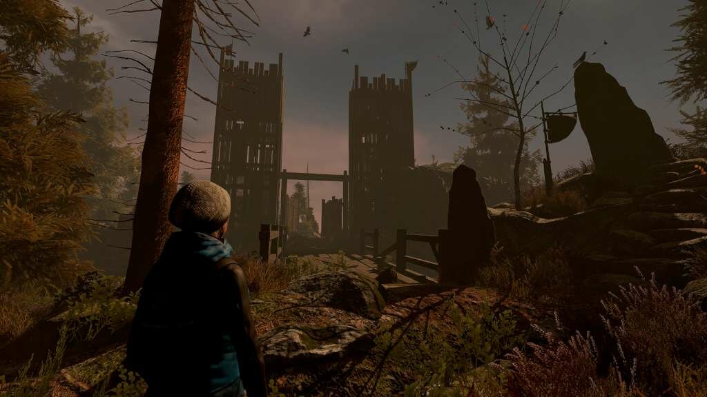 Through the Woods Steam Ключ • Активация Steam • регион Весь мир