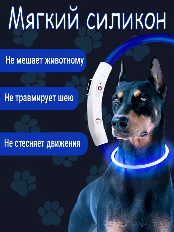 Светящийся светодиодный неоновый ошейник для собак и кошек usb светодиодный ошейник неоновый ошейник ошейник для собак для кошек USB